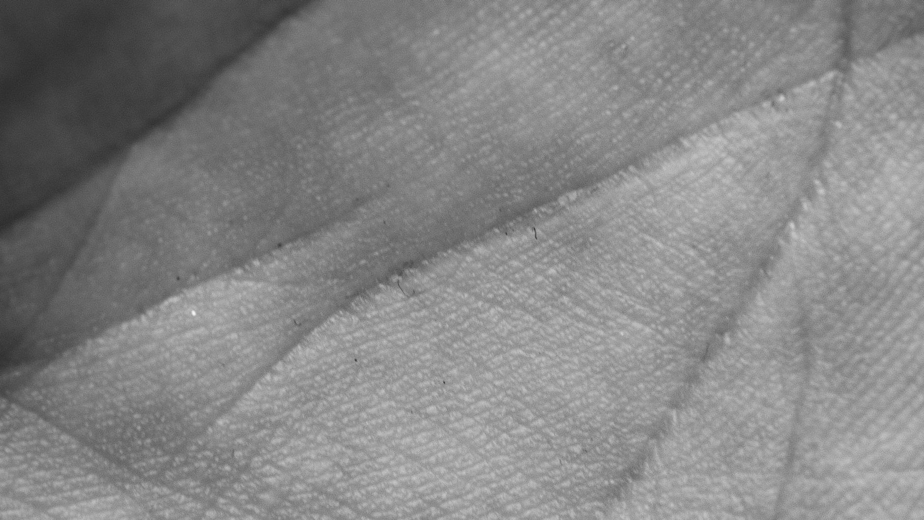CFRP: The Stunning Secret Behind Composite Strength - Impact Materials